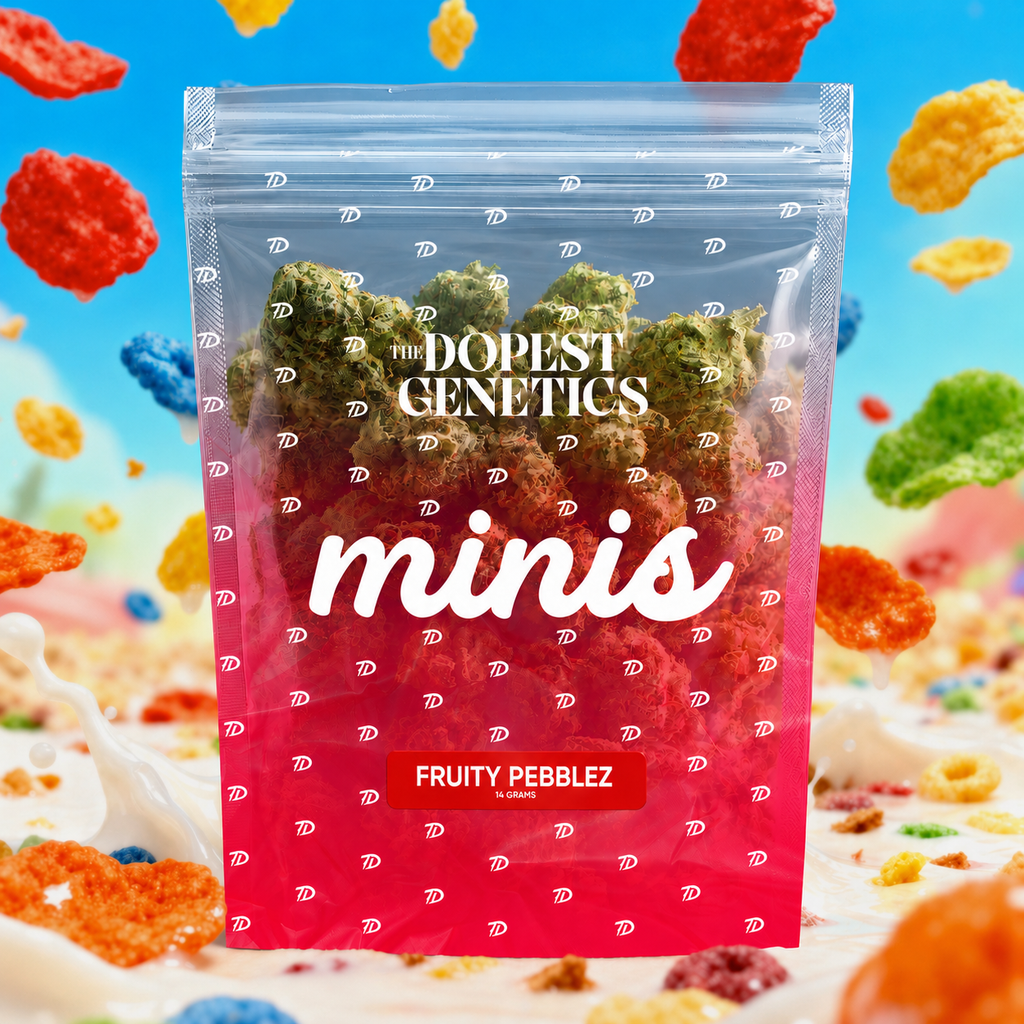 Smalls: CANDY RUNTZ Indica flower 28 grams | The Dopest