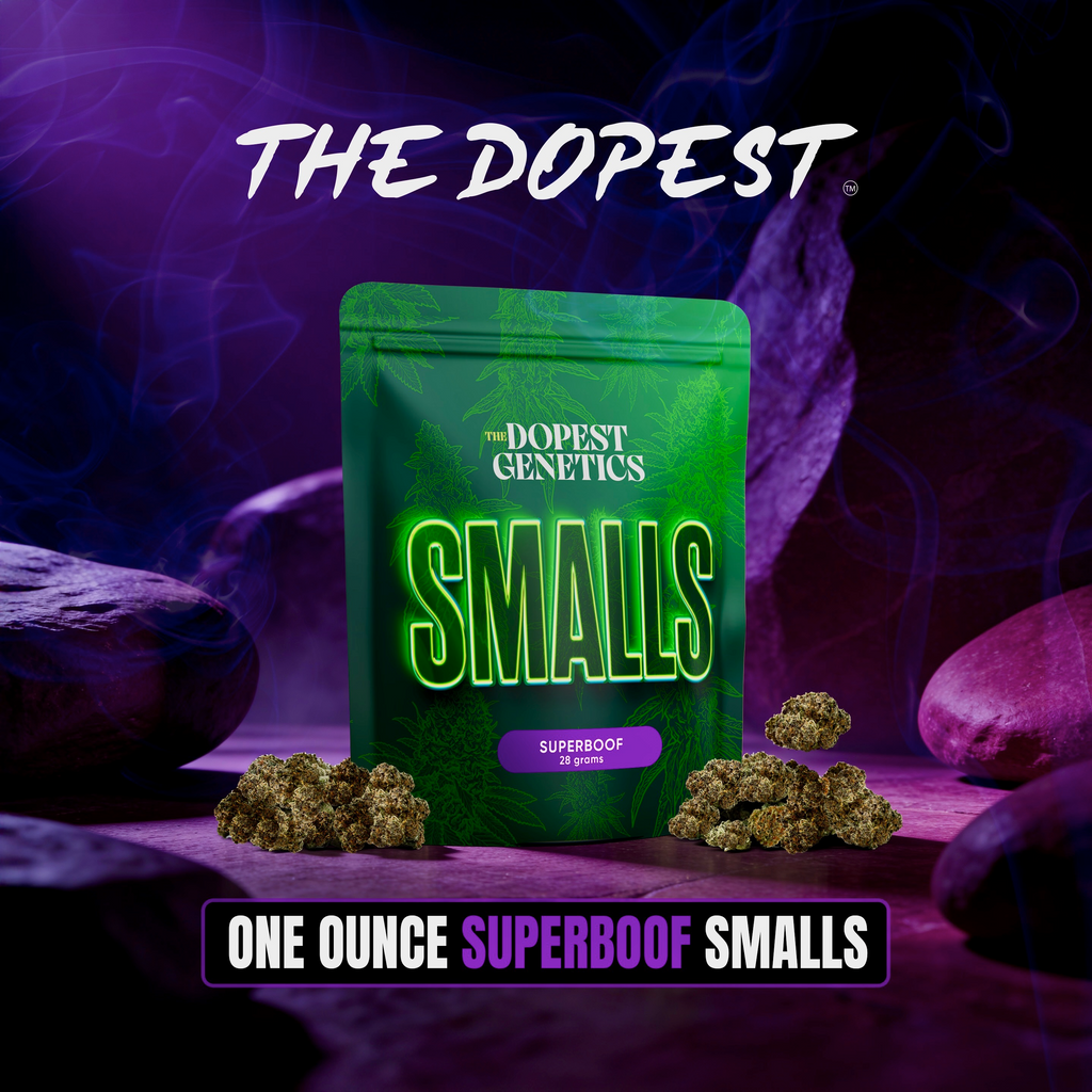 Smalls: SUPERBOOF hybrid flower 28 grams | The Dopest