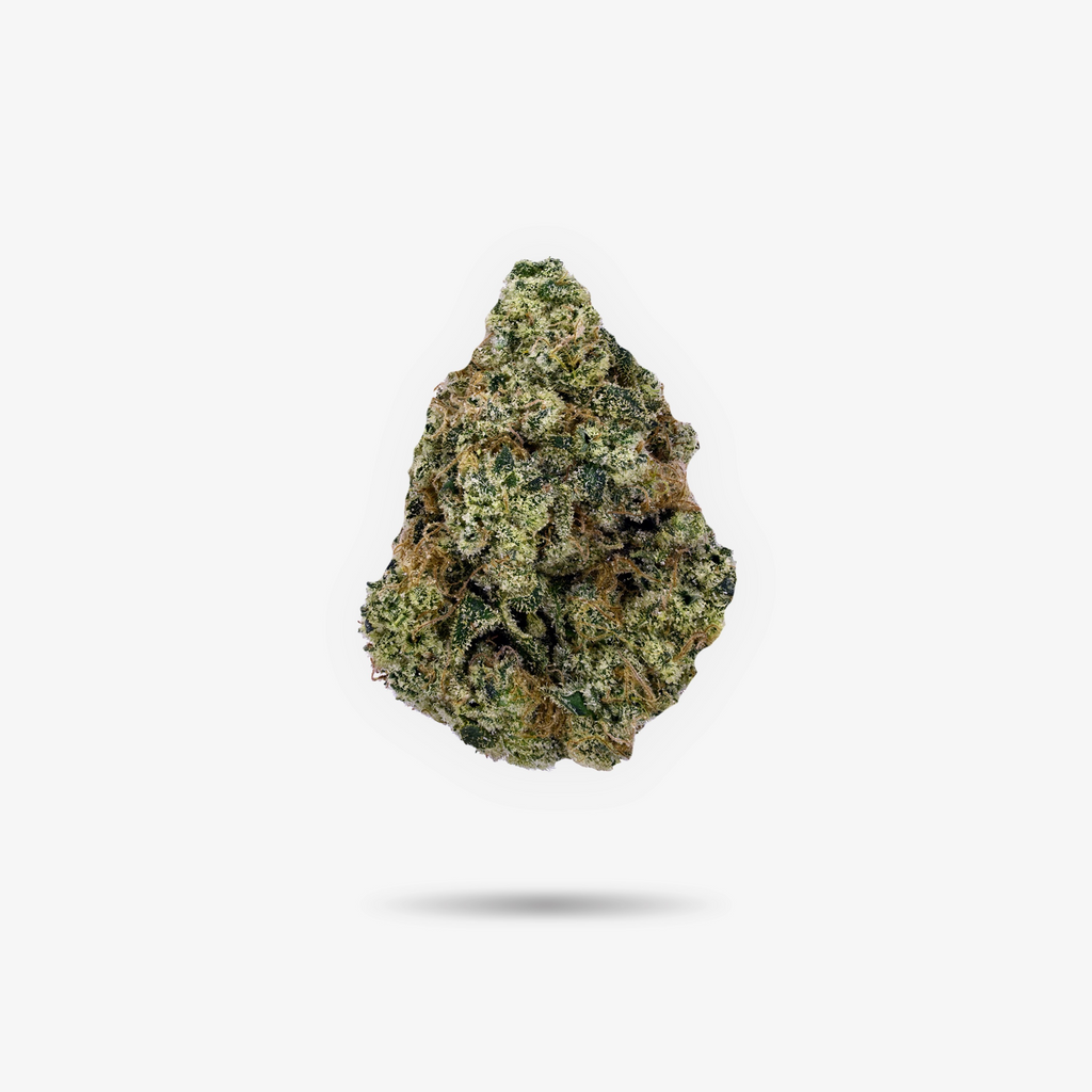 1 Ounce Premium Flower Zerbert Indica | The Dopest